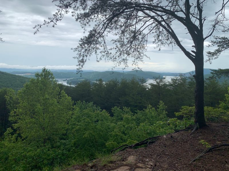 Tennessee – MTM Environmental