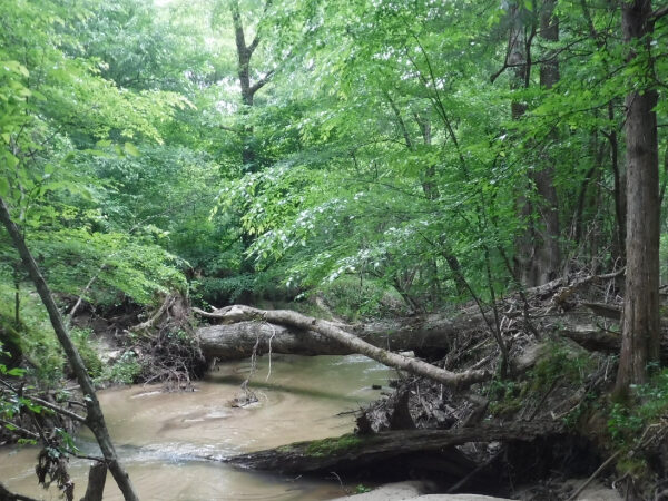 Alabama – MTM Environmental