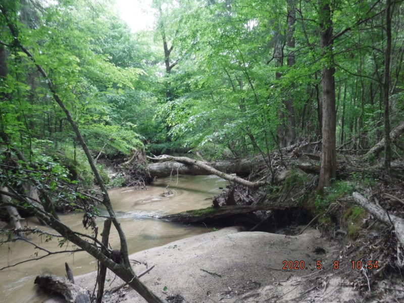 Alabama – MTM Environmental