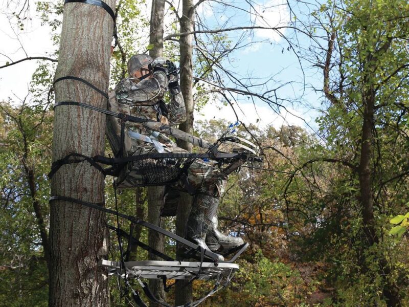 Tree Stand Safety Tips – MTM Environmental