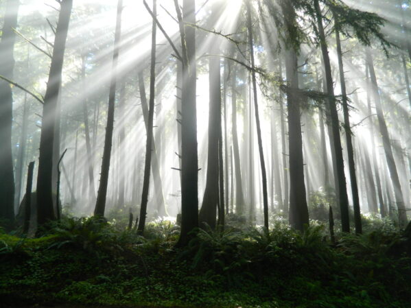 Wisconsin – MTM Environmental